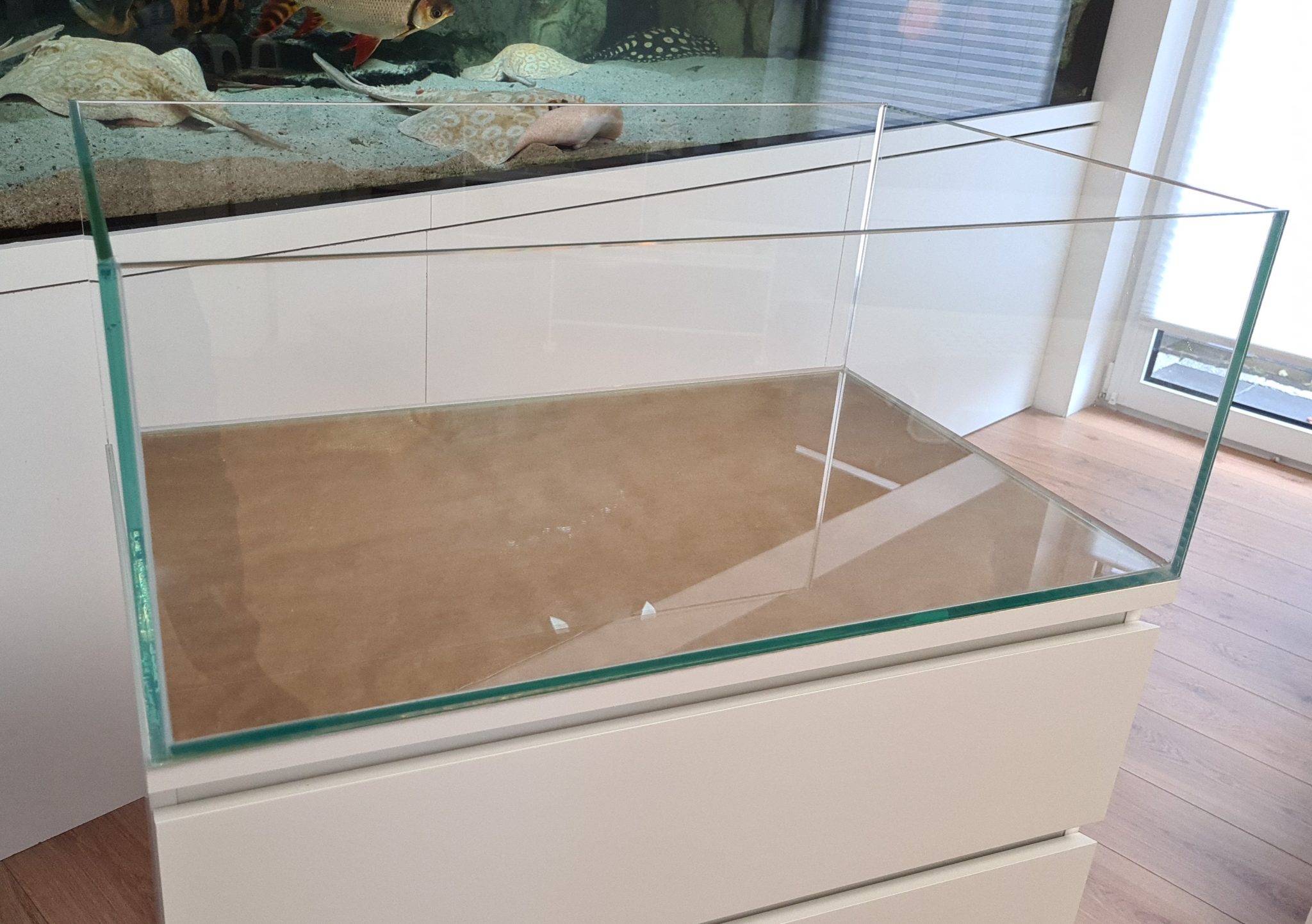 OptiWhite-Aquarium 80x50x30cm (LxTxH) 120l NEU - AMAZONASBECKEN.eu