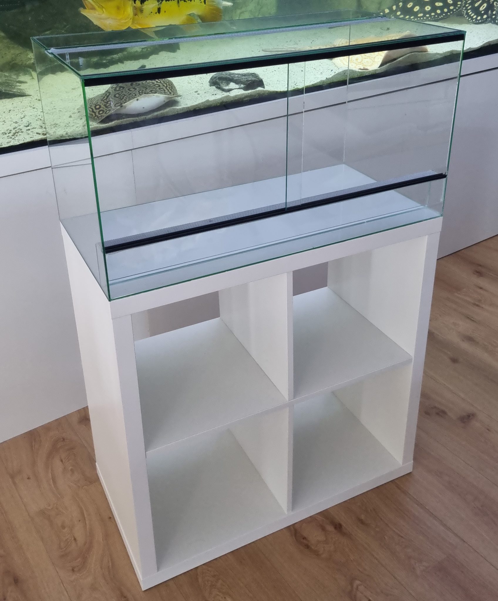 Terrarium 60x45x100cm (LxTxH) Wasserstand: 40cm Höhe, transparentes ...