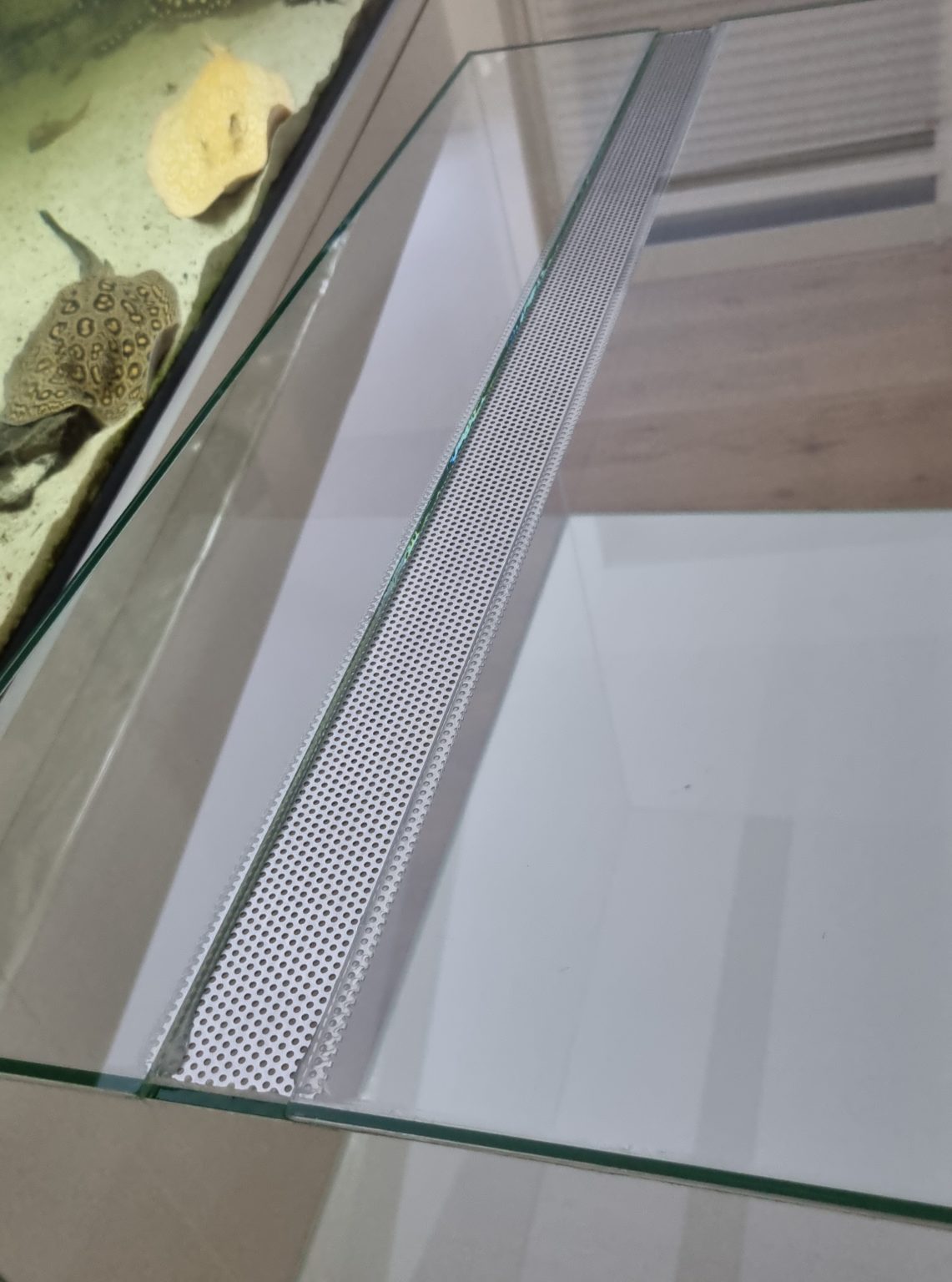 Terrarium 60x45x100cm (LxTxH) Wasserstand: 40cm Höhe, transparentes ...