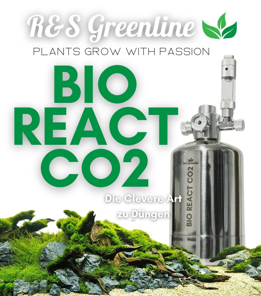 R&S Greenline - BIO REACT CO2 Generator mit Diffusor - AMAZONASBECKEN.eu